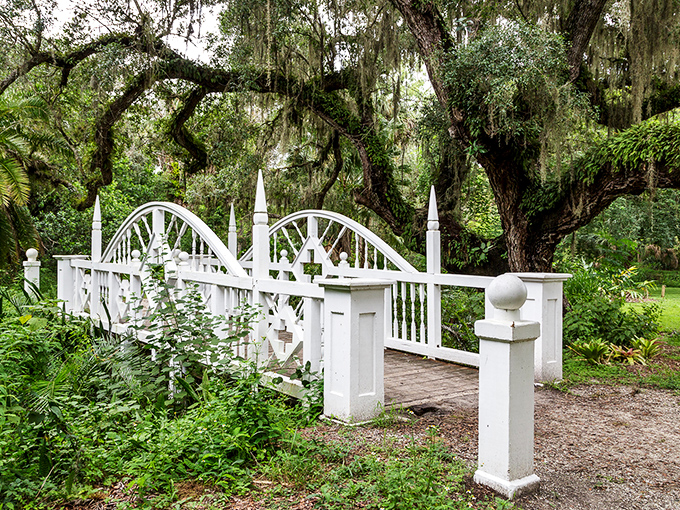 A pristine white bridge arches gracefully over lush greenery, inviting visitors to cross into Koreshan's forgotten world.