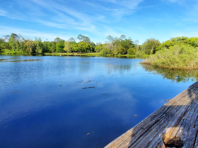 Lake Helen's mirror-like waters create a perfect reflection of Florida's blue skies &ndash; nature's own Instagram filter without the need for technology.