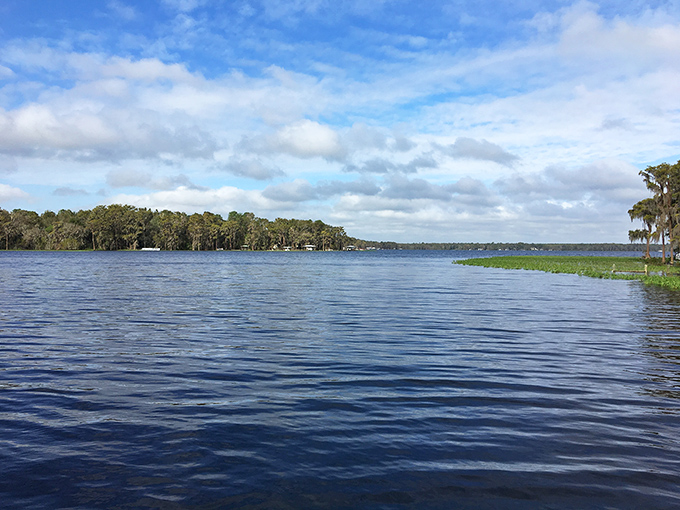 Lake Santa Fe stretches out like a blue satin sheet, reflecting clouds that seem to be lounging just as lazily as the visitors below.