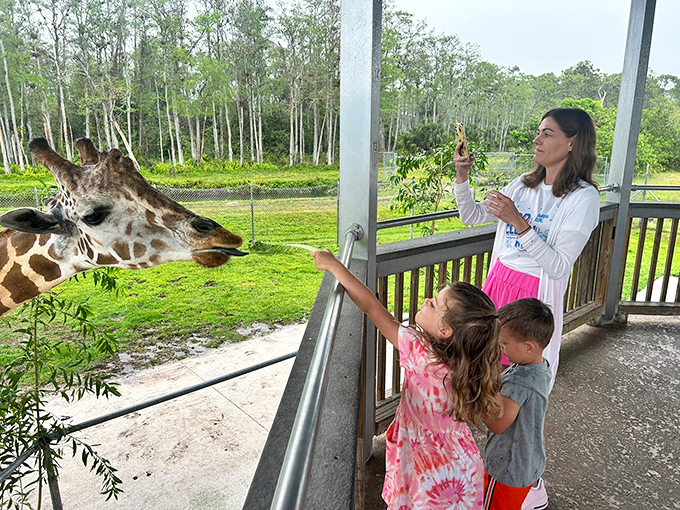 The iconic entrance to Lion Country Safari welcomes adventurers with silhouettes of African wildlife against the brilliant Florida sky.