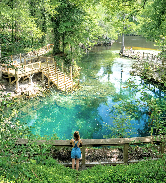 Madison Blue Spring State Park: Nature's own infinity pool, where crystalline waters emerge from underground caverns, creating a swimmer's paradise in North Florida.