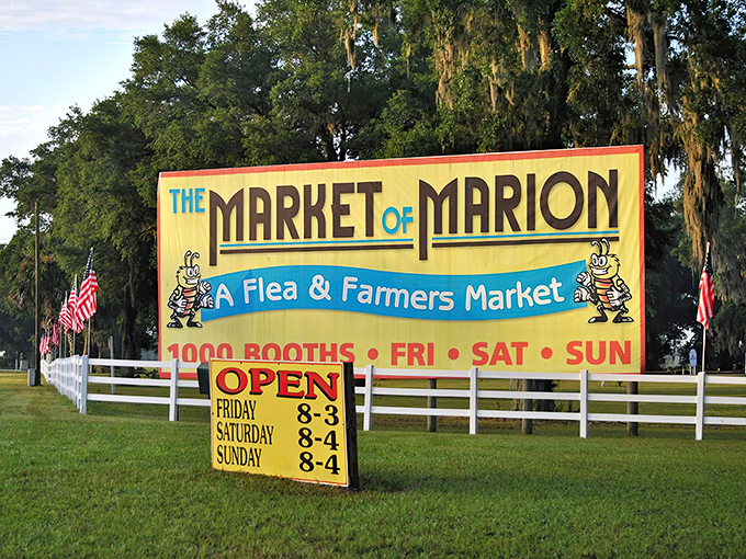 The iconic yellow sign of Market of Marion stands proudly along Highway 441, beckoning treasure hunters with its promise of 1,000 booths of shopping adventure.
