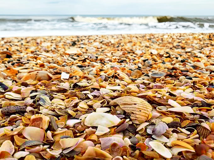 A kaleidoscope of seashells blankets Mickler's Landing Beach, nature's mosaic stretching toward the gentle Atlantic waves.