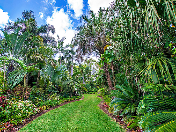 A verdant corridor of tropical palms creates nature's perfect archway, inviting visitors to wander deeper into this botanical wonderland.
