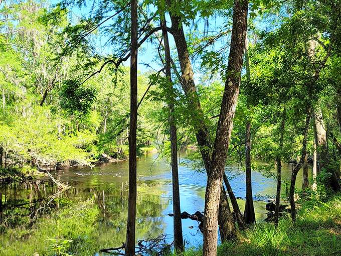 O'Leno State Park: Where Florida's wild heart beats strongest, welcoming visitors with a perfect blend of history and untamed nature.
