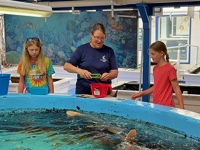 The unassuming entrance to Gulf Specimen Marine Lab proves that magic doesn't need a flashy facade to work wonders.