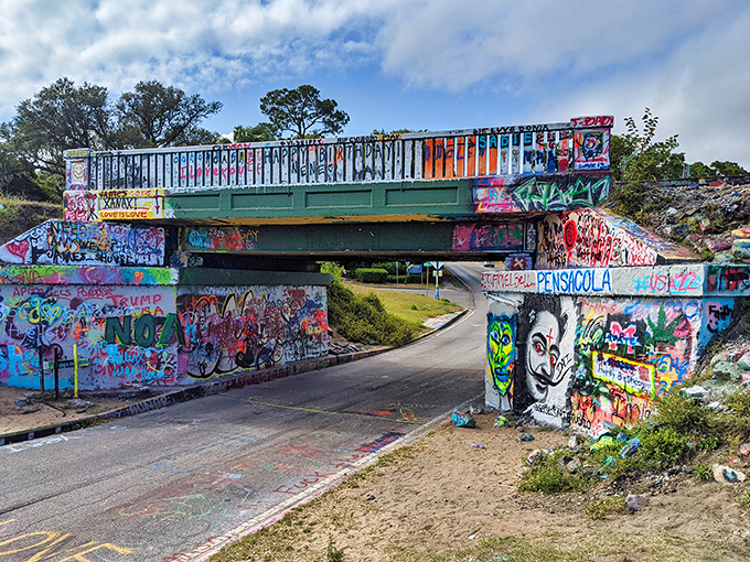 The Graffiti Bridge stands as Pensacola's most colorful landmark, where community creativity meets infrastructure in spectacular fashion.