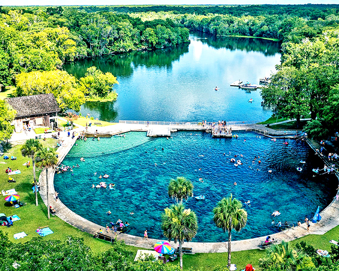 Ponce de Leon Springs State Park: Nature's perfect swimming pool &ndash; crystal clear waters surrounded by ancient cypress trees creating a natural paradise for swimmers of all ages.