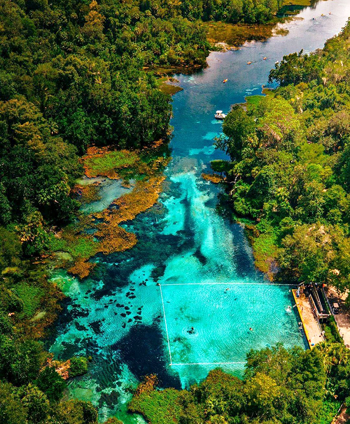 From above, Rainbow Springs looks like someone spilled a bottle of liquid turquoise across the landscape, creating a natural masterpiece that makes you wonder if Mother Nature moonlights as an artist.
