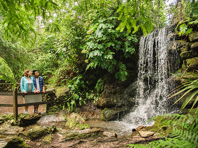 Nature's own theme park without the long lines – just add water and watch the magic unfold.