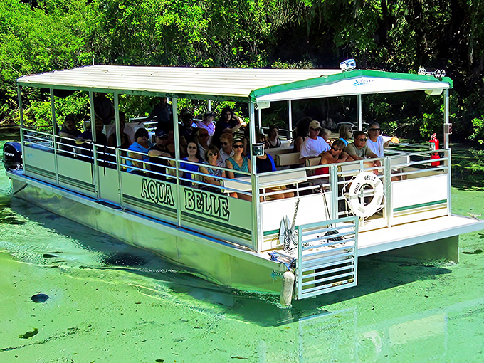 The "Aqua Belle" glides through emerald waters, carrying wide-eyed passengers into Florida's liquid wonderland. Who needs Caribbean vacations?