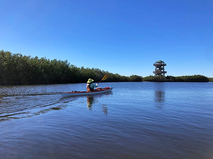 A lone kayaker glides through crystal waters toward the observation tower &ndash; Robinson Preserve's waterways offer peaceful exploration with stunning vistas around every bend.