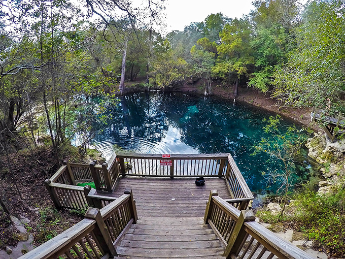 Nature's infinity pool beckons with impossibly blue waters, promising a refreshing escape from Florida's heat. Dive in!