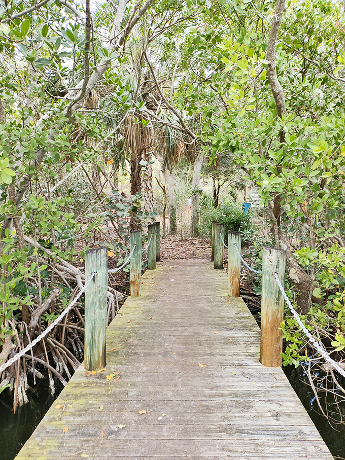 Welcome to wilderness! The entrance to Samsons Island Nature Park promises adventure beyond the weathered wooden sign and boardwalk.