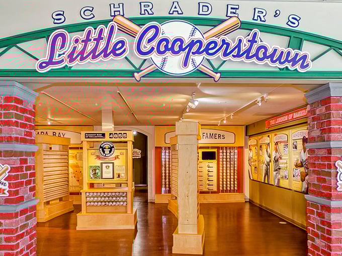 Welcome to Schrader's Little Cooperstown, where baseball dreams are preserved in perfect rows like the world's most organized sports fantasy.