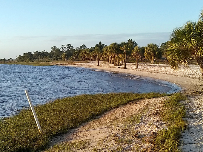 Where palm trees stand sentinel along shores untouched by time, this hidden Florida coastline whispers stories of old Florida magic.