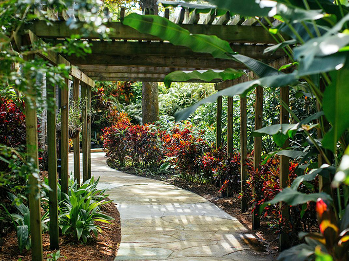 A shaded pergola pathway invites visitors deeper into the garden's mysteries, sunlight playing hide-and-seek through the leaves.