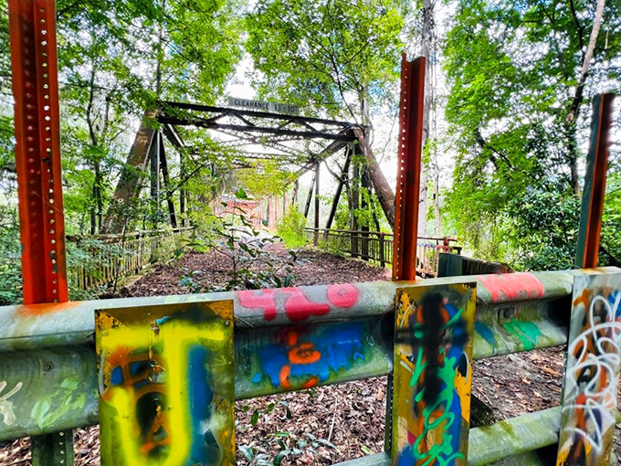 Nature reclaims what humans abandon at the Suwannee Springs Bridge, where rusted metal meets vibrant graffiti in a strange, beautiful harmony.