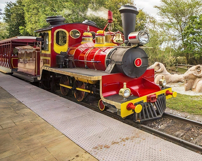 The iconic red Serengeti Express locomotive steams ahead, its vibrant colors promising an adventure that bridges continents without leaving Florida.
