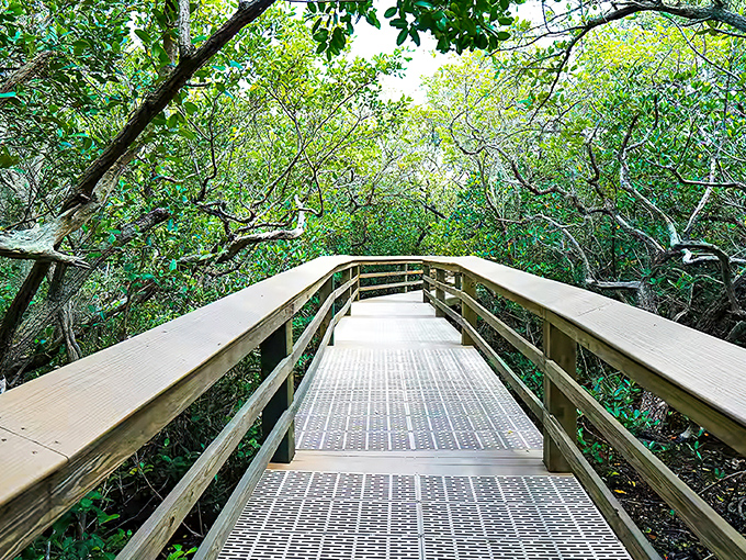 Nature's own labyrinth: Coquina Beach's pristine shoreline beckons with powdery white sand and the promise of Gulf Coast tranquility.