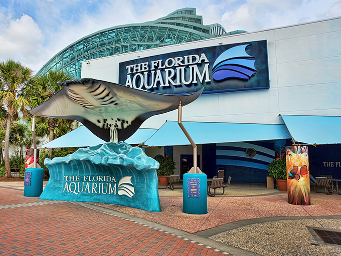 The Florida Aquarium's striking exterior welcomes visitors with its wave-inspired architecture and that unmistakable ray sculpture &ndash; marine magic before you even step inside!