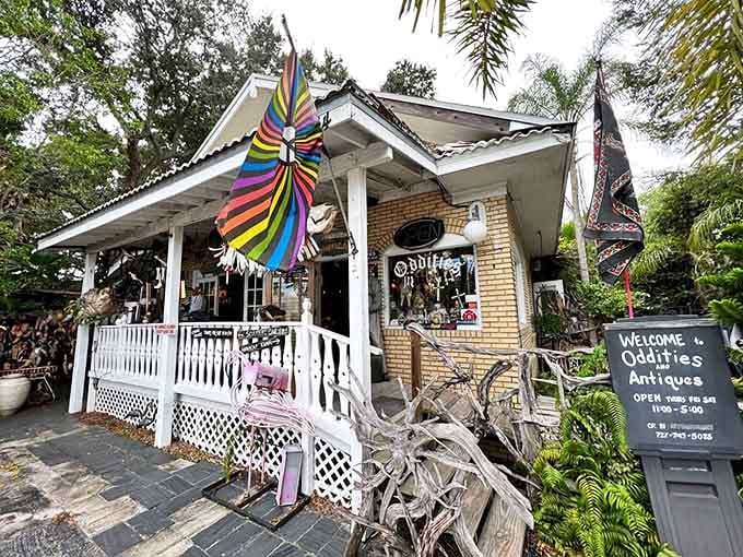 A charming yellow brick cottage with a white picket fence &ndash; until you notice the colorful winged creatures and realize this isn't Grandma's antique shop.