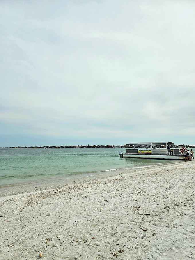 Your chariot awaits to whisk you away from civilization to an island where the biggest decision is which shell to pick up first.