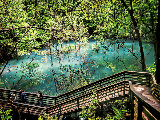 Nature's own amphitheater &ndash; the breathtaking blue-green waters of Devil's Millhopper create an otherworldly scene that feels like stepping into a fantasy novel.
