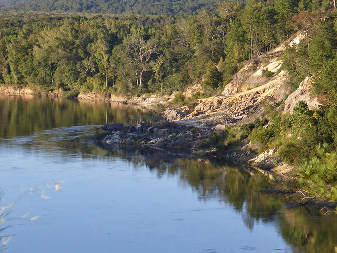 The Nature Conservancy's crown jewel in Florida showcases dramatic bluffs and lush ravines &ndash; Mother Nature showing off her architectural skills.