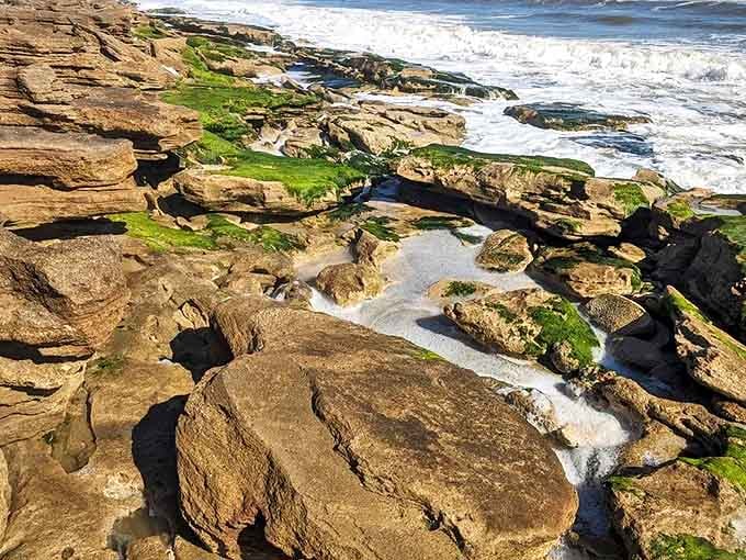 Nature's sculpture garden: Ancient coquina formations create a dramatic coastline where Atlantic waves carve intricate patterns into living stone.