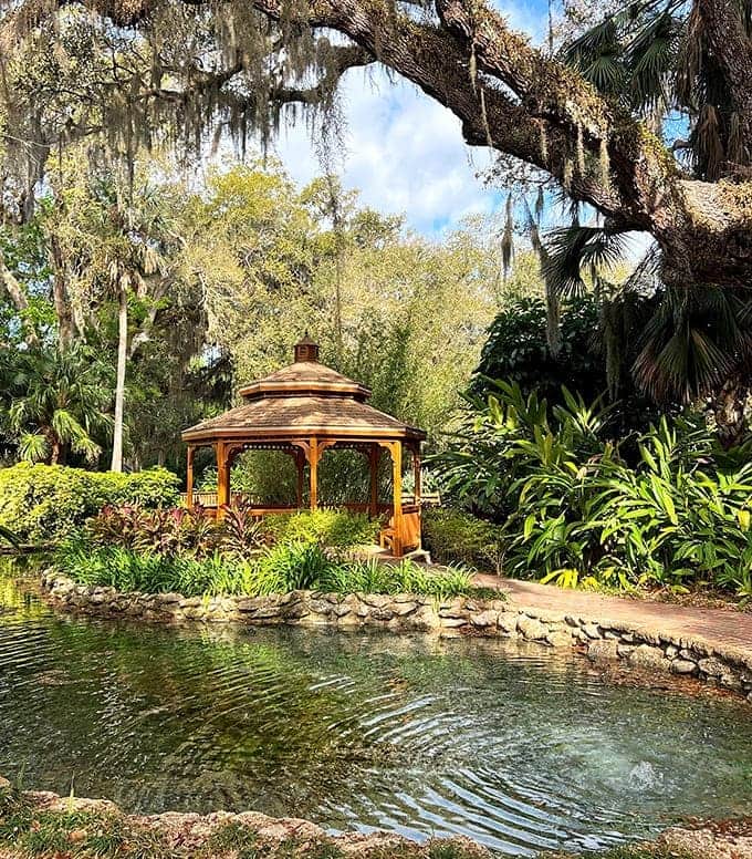 Nature's sculpture garden where coquina formations create a rocky wonderland, as if the ocean decided to play architect along Florida's coast.