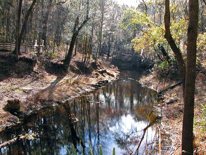 Falmouth Springs: Nature's shortest commute &ndash; this river pops up to say hello before vanishing back underground faster than you can say "road trip."