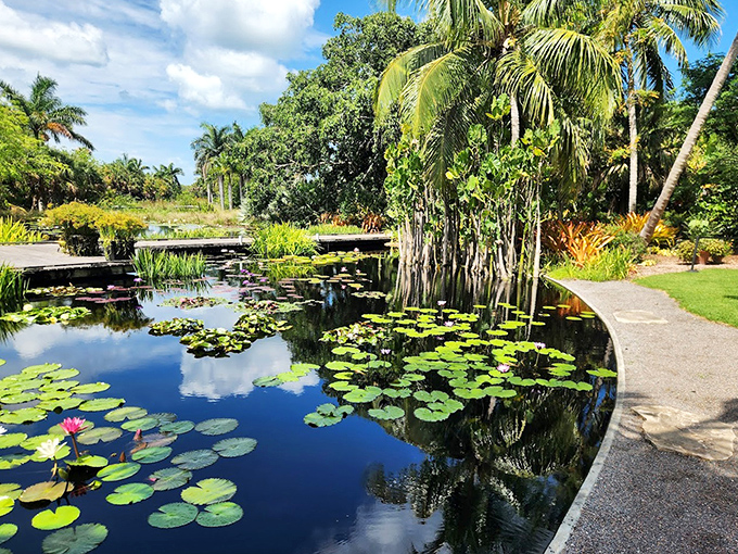 A serene water garden where lily pads create nature's perfect mosaic, reflecting Florida's brilliant blue skies.