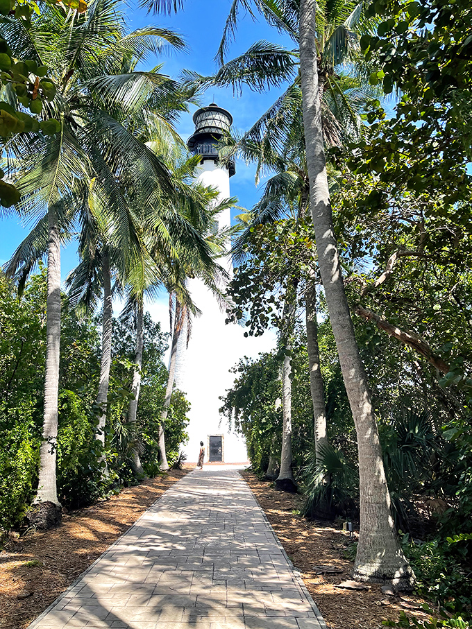 A palm-lined pathway leads to adventure, where history and nature create Florida's perfect coastal escape.