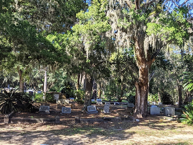 Ancient oaks stand guard over centuries of history at Bosque Bello, their moss-draped limbs creating nature's own memorial.