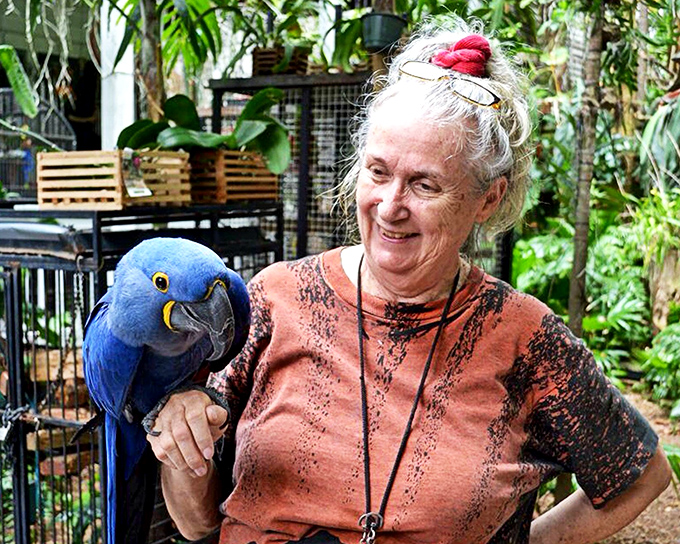 A vibrant oasis where feathered personalities reign supreme, Nancy Forrester's Secret Garden welcomes visitors into a world of avian wonder.