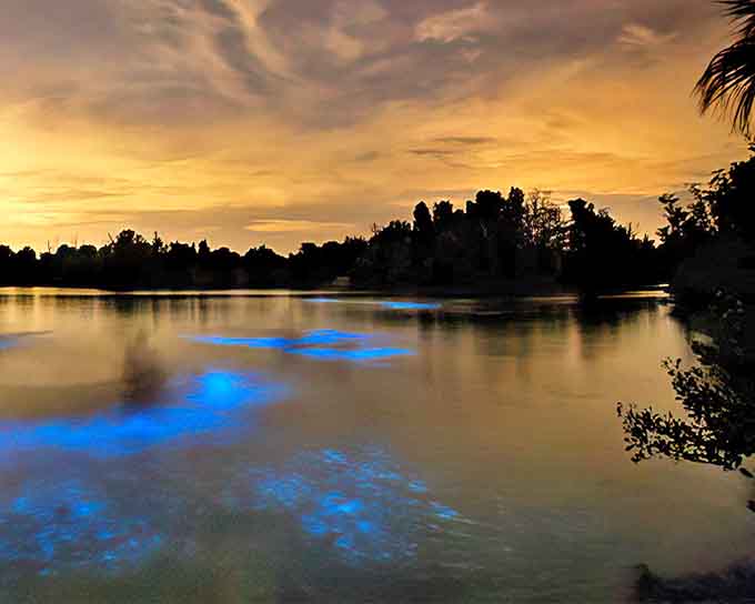 When the lagoon looks this serene at sunset, you start to understand why people become obsessed with this place and never want to leave.