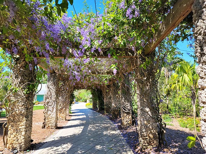 Purple wisteria cascades over this pergola like nature's own chandelier, creating the kind of Instagram moment that makes your followers actually stop scrolling.