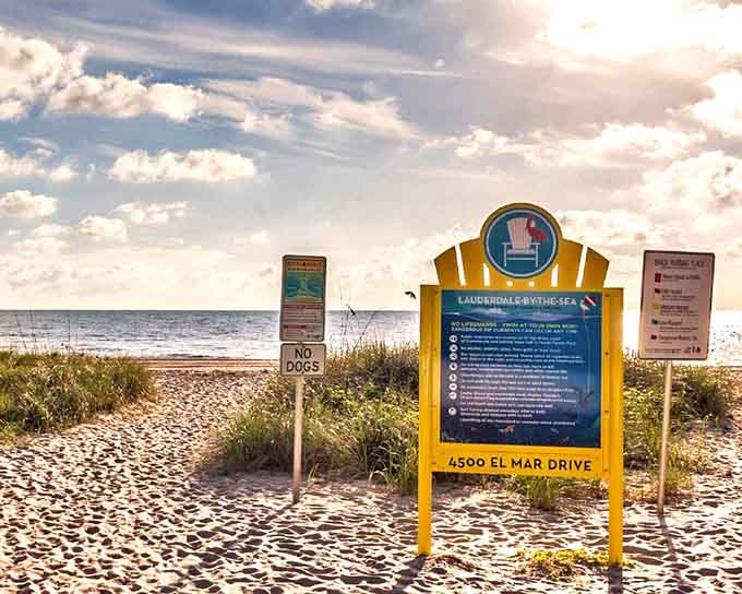 Welcome to El Prado Park, where that cheerful pink flamingo on the sign isn't just decoration but a promise of the laid-back beach vibes awaiting you beyond those swaying palms.