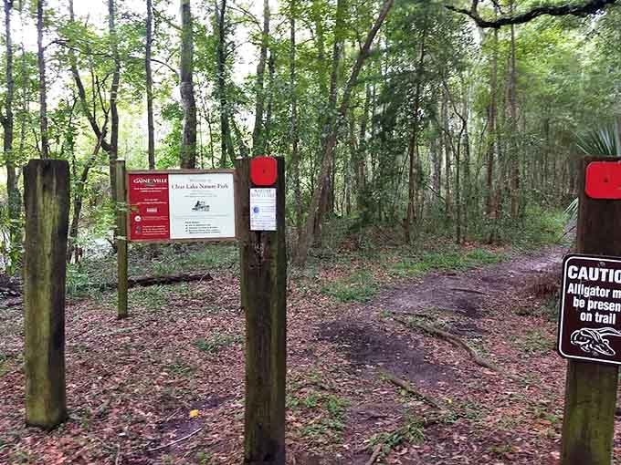 The trailhead welcomes visitors with understated charm, proving that the best adventures don't need flashy entrances or gift shops.