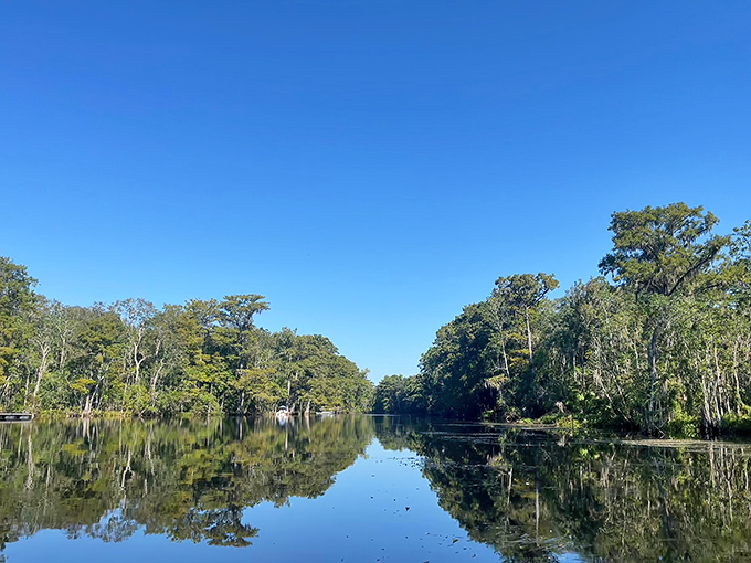 TNT Hideaway's mirror-like waters invite adventurers to glide into a world where time slows and nature takes center stage.