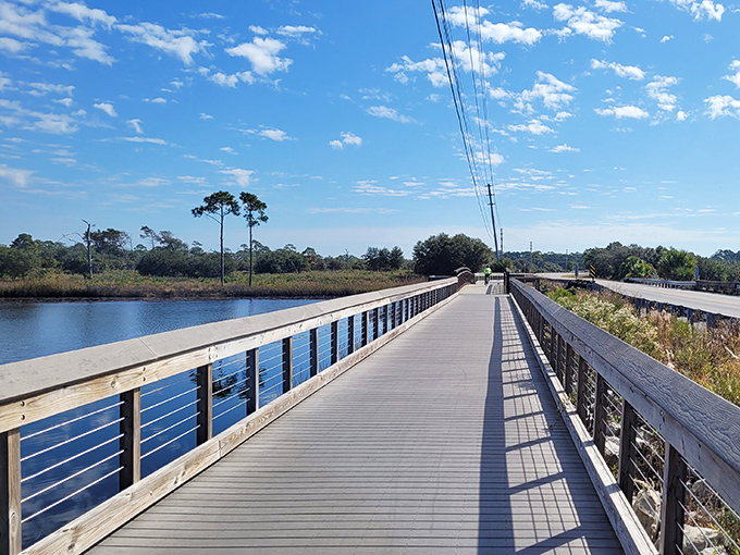 The boardwalk stretches like nature's runway, inviting you over crystal waters where the only traffic jam might be two turtles trying to pass each other.