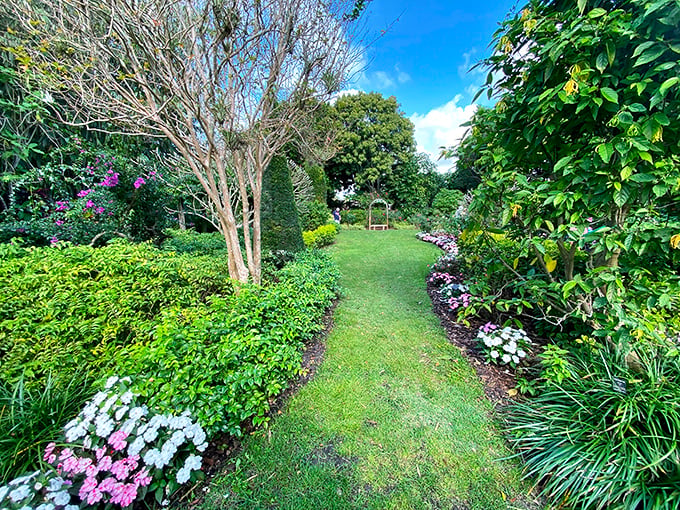A verdant pathway beckons visitors deeper into Mounts Botanical Garden, where manicured hedges frame a journey of botanical discovery.