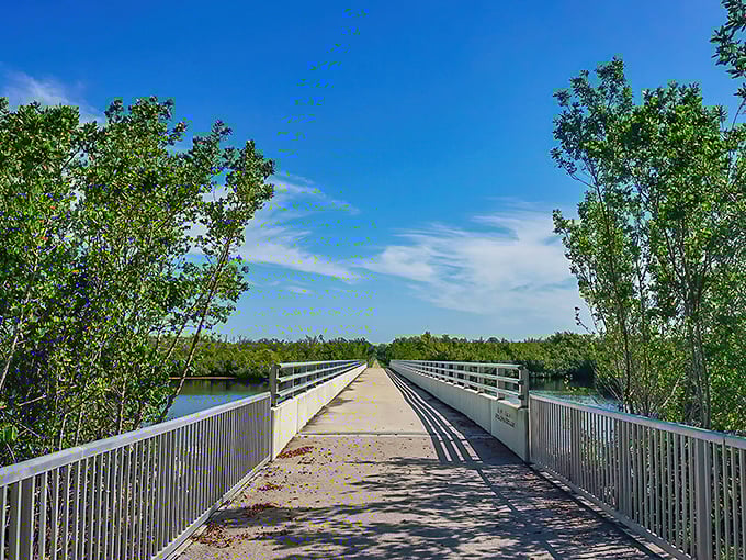 A bridge to tranquility: The Cape Haze Pioneer Trail invites visitors to leave the ordinary behind and step into Florida's natural splendor.