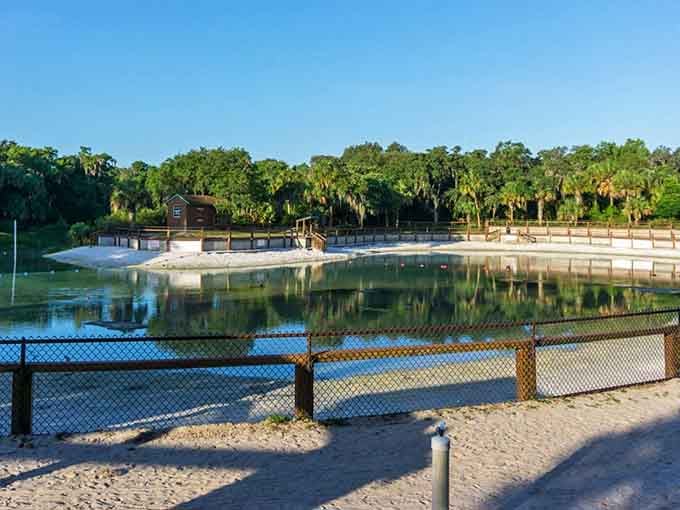 That pristine spring-fed swimming area looks like someone Photoshopped the water to be impossibly clear, except it's actually real and you can jump right in.
