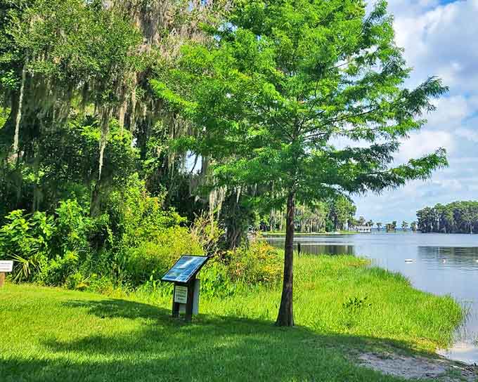 Spanish moss and cypress trees frame this waterfront sanctuary where time slows down and worries float away like leaves on the breeze.