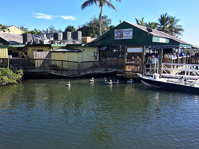 Riverside Caf&eacute; perches on the Indian River Lagoon like a contented pelican, inviting boaters and landlubbers alike to pause for a waterfront feast.