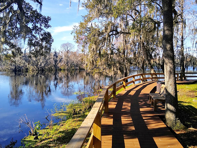 A wooden boardwalk curves gracefully along the Hillsborough River, inviting visitors to follow its path through dappled sunlight and tranquil views.