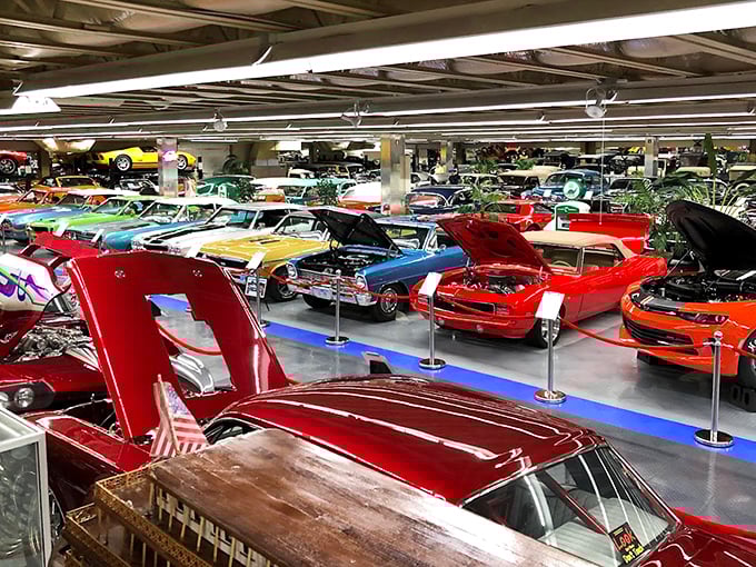 Welcome to chrome paradise! The Tallahassee Automobile Museum houses a dazzling collection that'll make your inner gearhead squeal with delight.