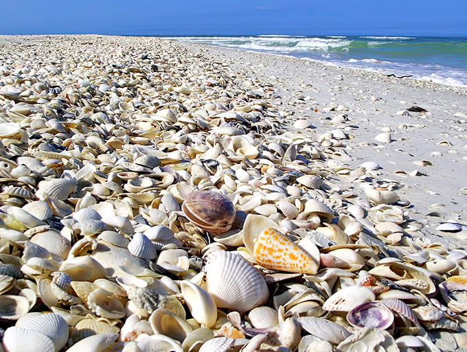 Tigertail Beach stretches before you like nature's own treasure chest, with shells carpeting the sand in a display that makes every step an adventure.